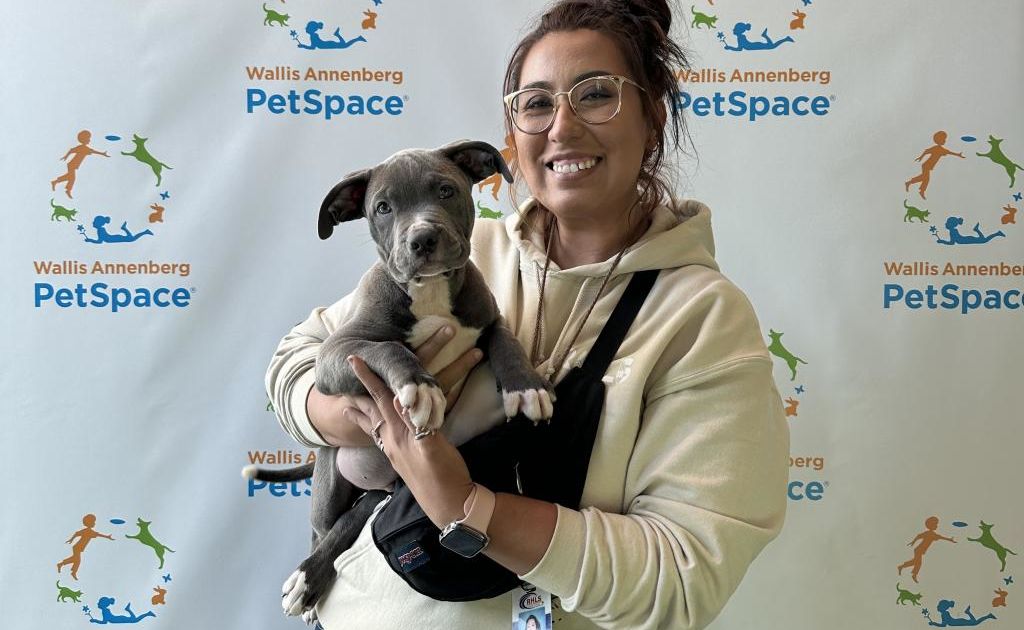 Annenberg PetSpace | King Charles