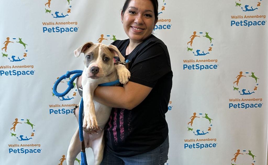 Annenberg PetSpace | Queen Charlotte