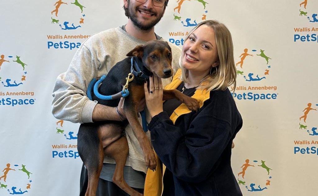 Annenberg PetSpace | Augustus