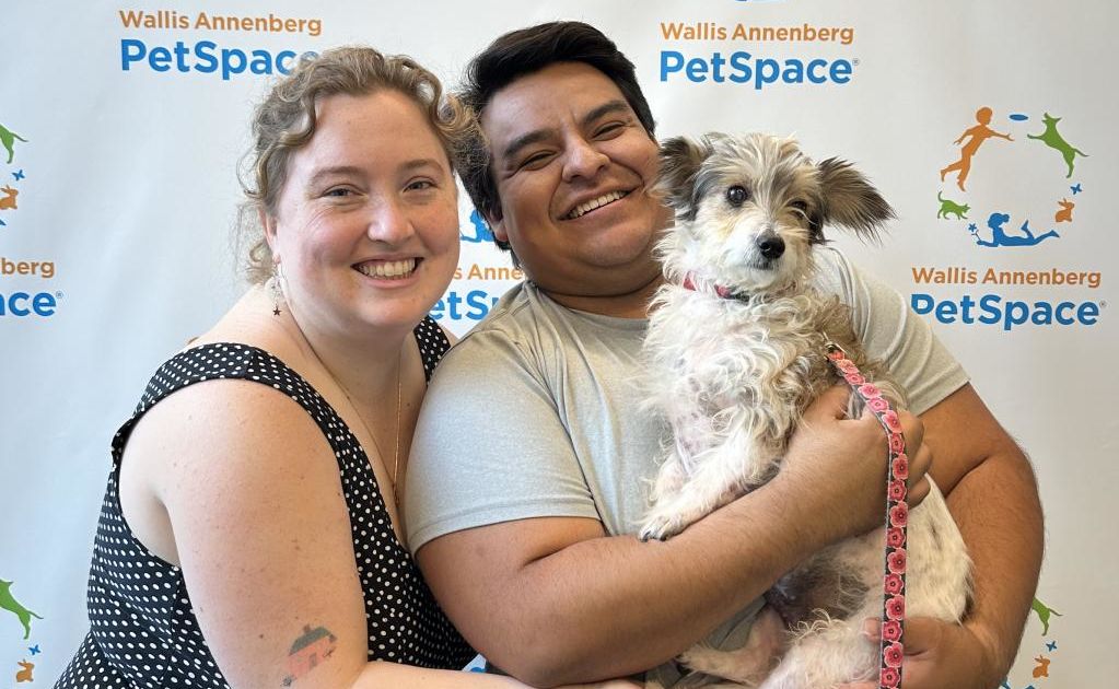 Annenberg PetSpace | Max