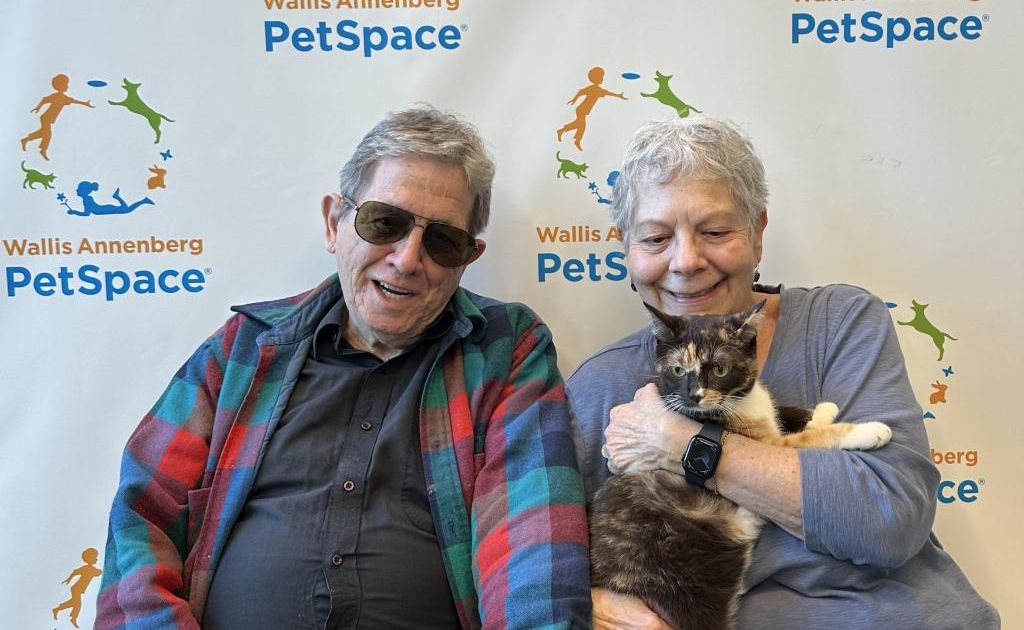 Annenberg PetSpace | Clover