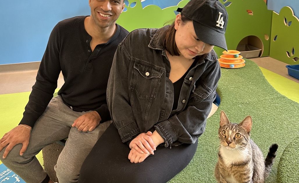 Annenberg PetSpace | Steve