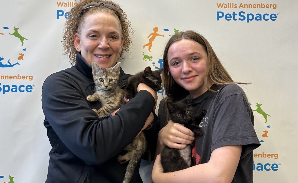 Annenberg PetSpace | Sarabi