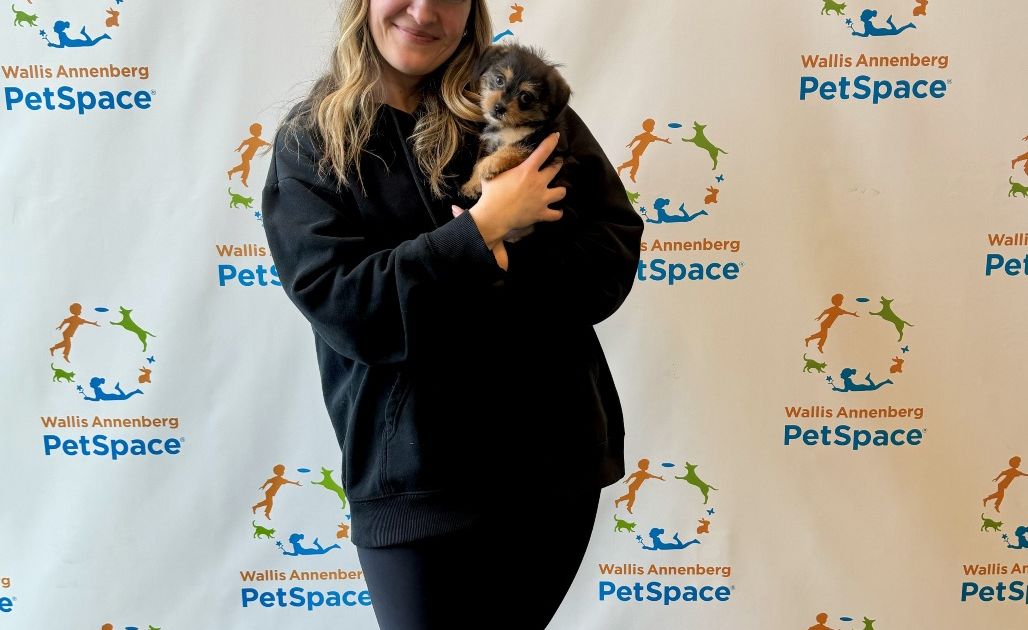 Annenberg PetSpace | Friend Bear