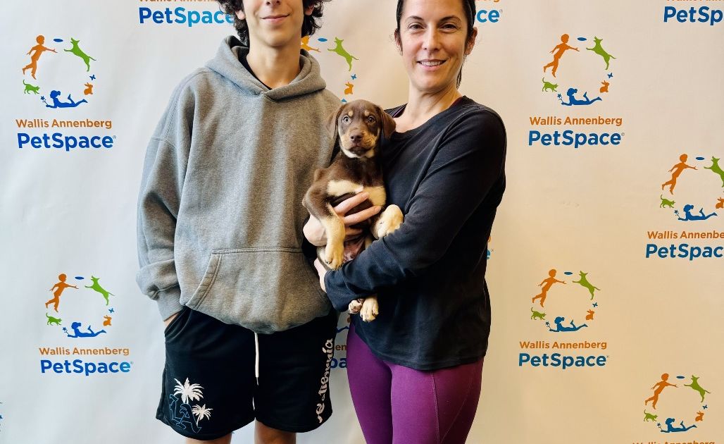 Annenberg PetSpace | Orangetip