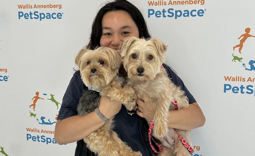 Annenberg PetSpace | Muffin