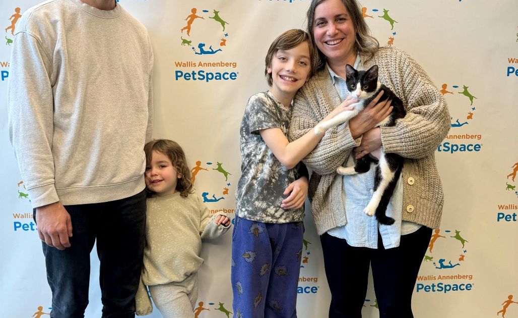 Annenberg PetSpace | Amara