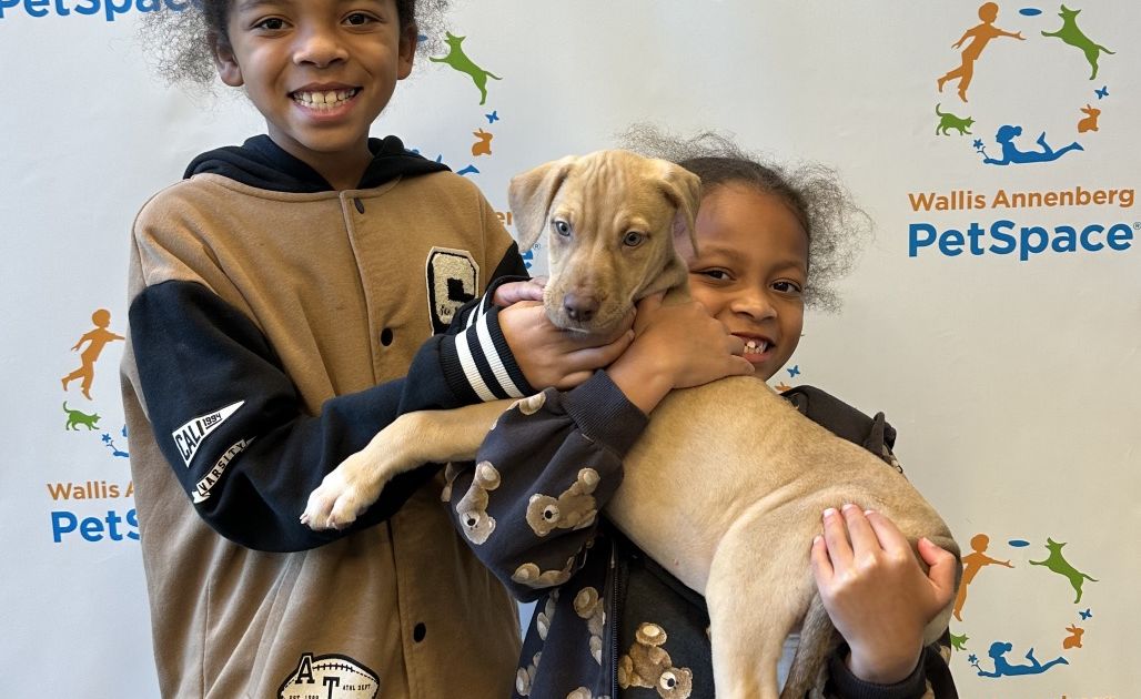 Annenberg PetSpace | Painted Lady