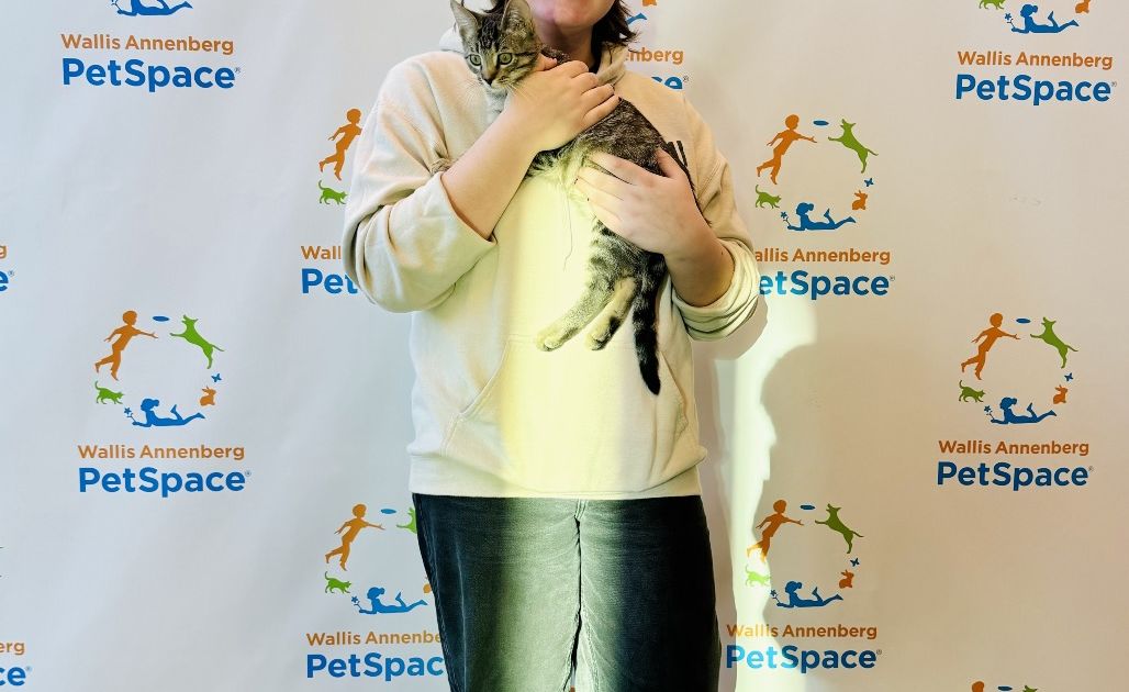 Annenberg PetSpace | Leopard