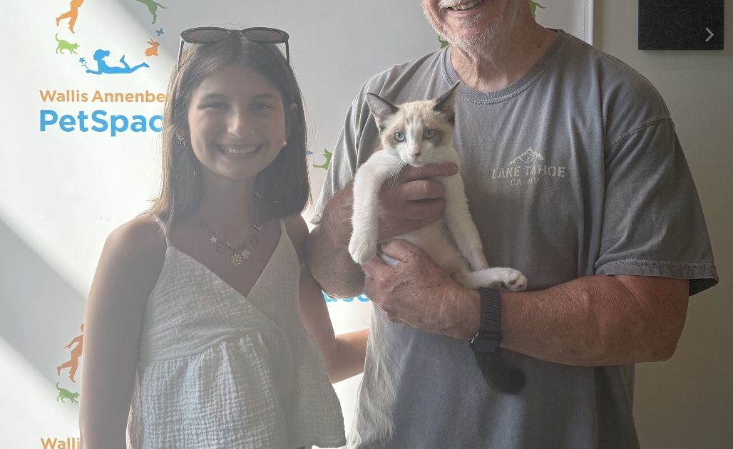 Annenberg PetSpace | Boots