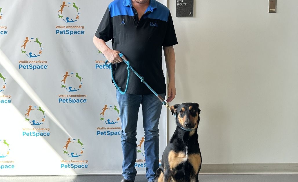 Annenberg PetSpace | Darlene