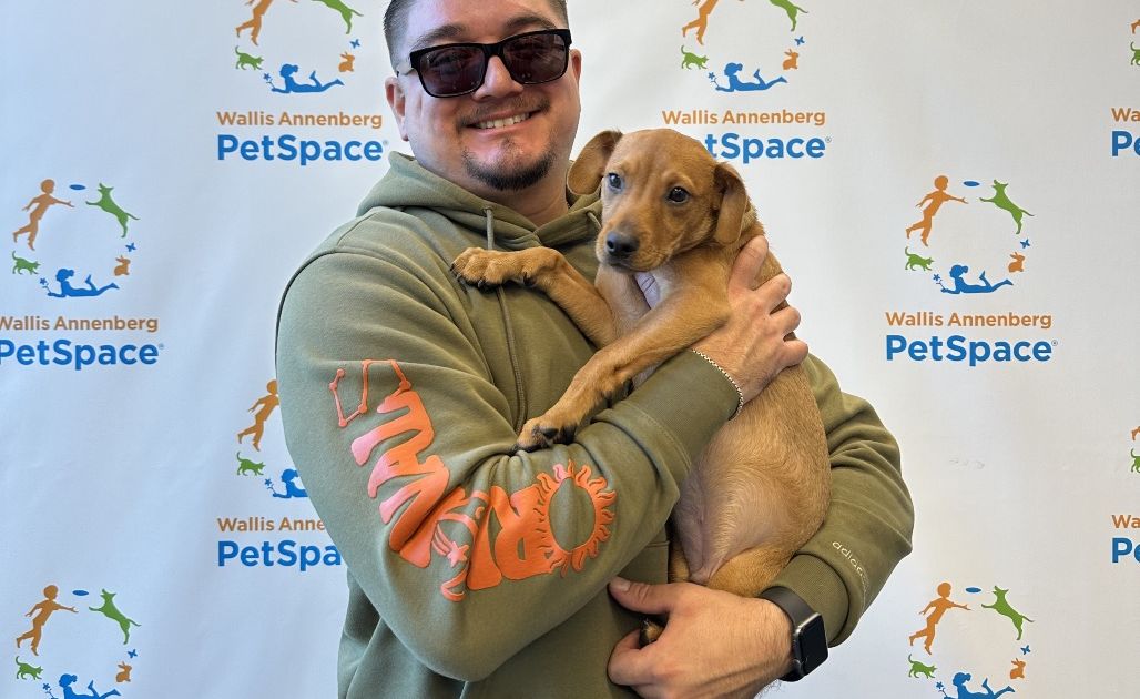 Annenberg PetSpace | M&M