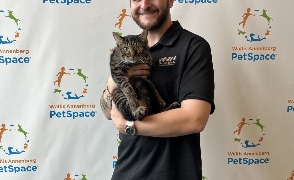 Annenberg PetSpace | Toad