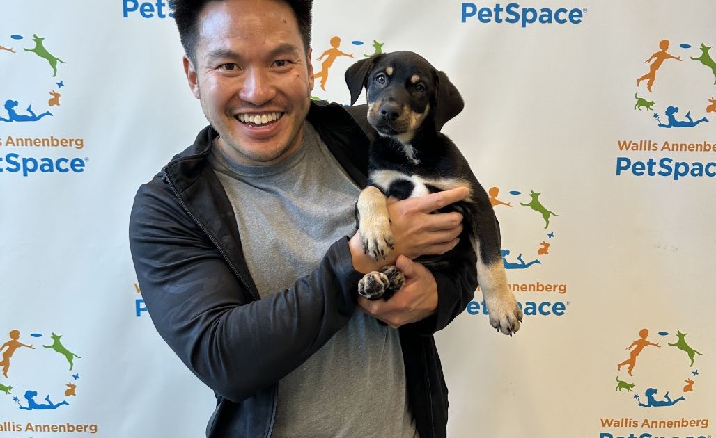Annenberg PetSpace | Grayling