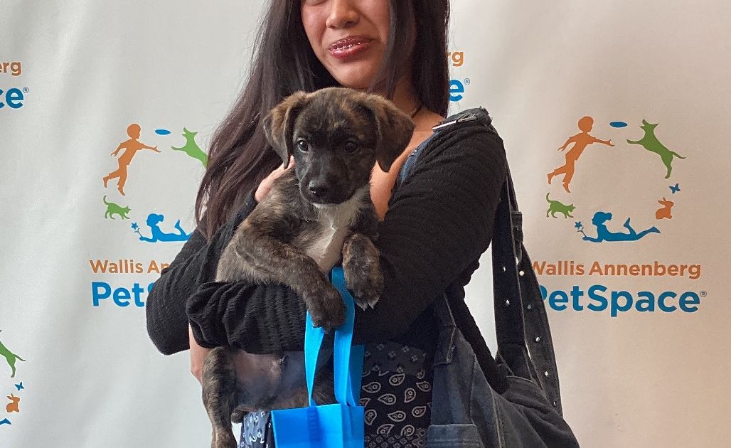 Annenberg PetSpace | Taz