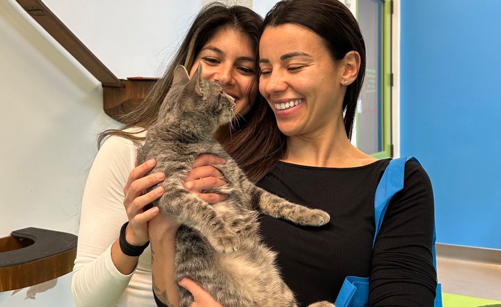 Annenberg PetSpace | Qairo