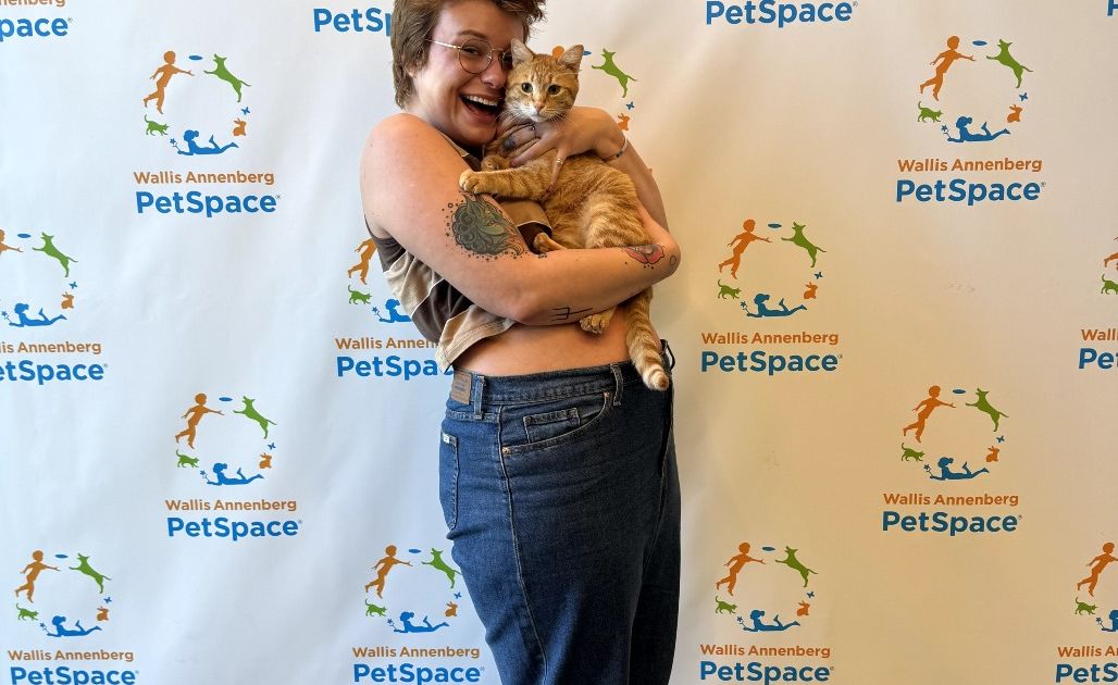 Annenberg PetSpace | Freddy