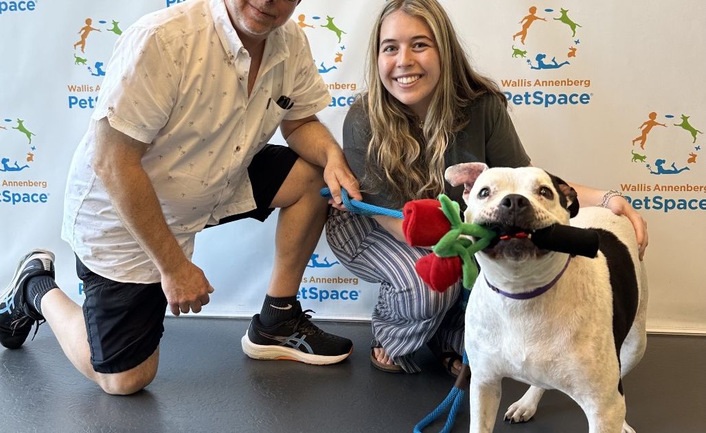 Annenberg PetSpace | Dove