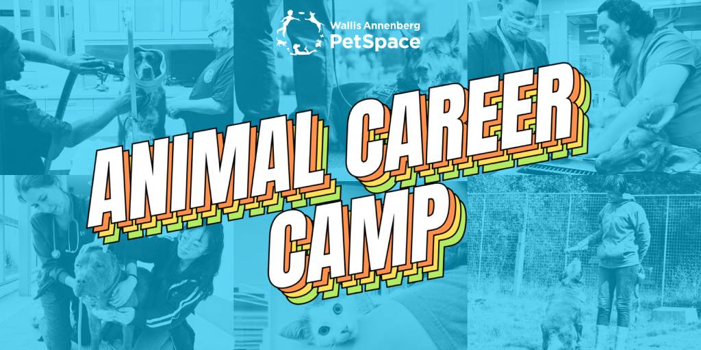 Annenberg PetSpace | Visit