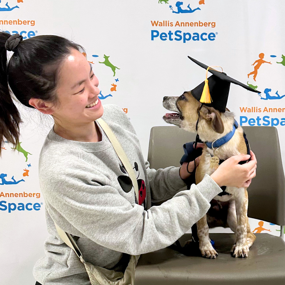 Annenberg PetSpace | Dog Training
