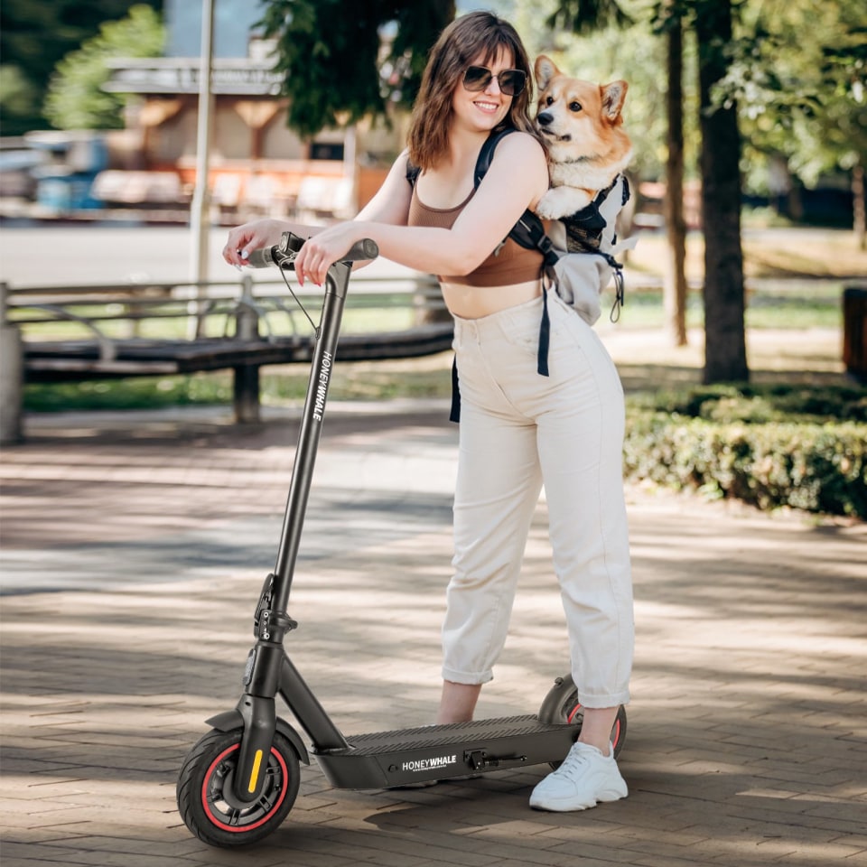Scooter Eléctrico Honey Whale E9 Max Negro Honey Whale E9 Max Bodega
