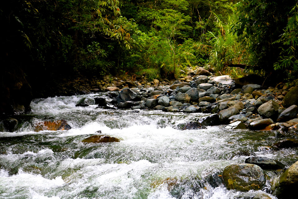 El Nilo Pance | Naturalmente Extraordinario