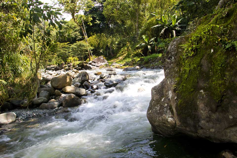 El Nilo Pance | Naturalmente Extraordinario