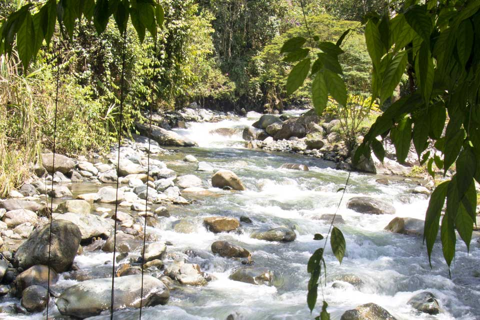 El Nilo Pance | Naturalmente Extraordinario