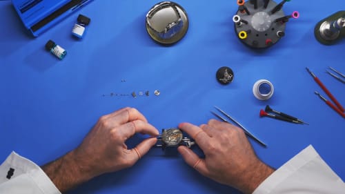 Professional Services | Wristcheck