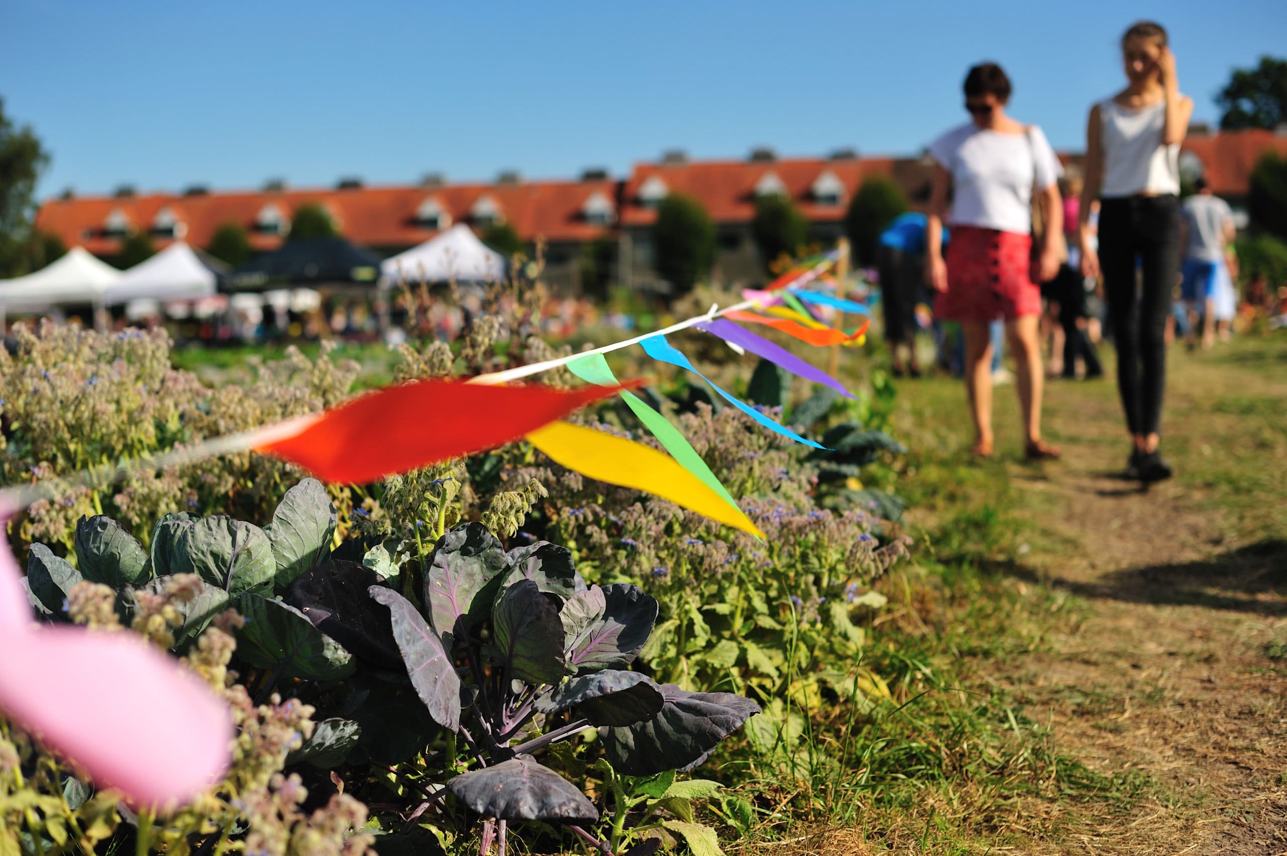Le Lush Spring Prize - We Are Lush — France