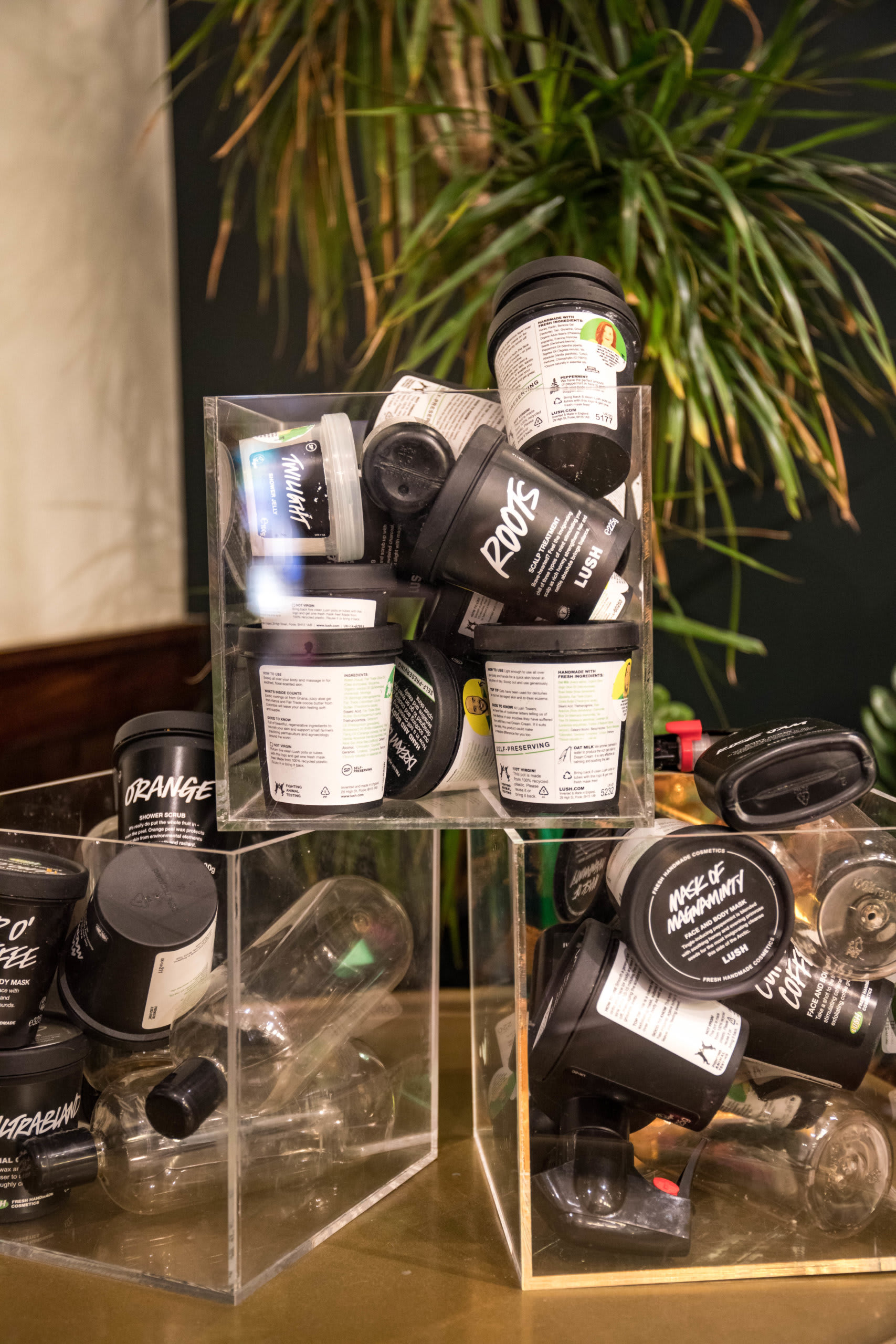 Bring It Back - We Are Lush — Netherlands