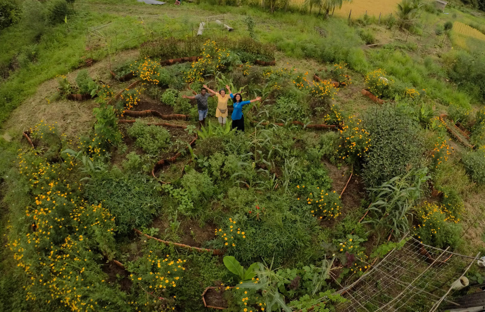 LUSH Spring Prize 2021 - We Are Lush — Sweden