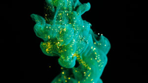 30 years of Lush - We are Lush