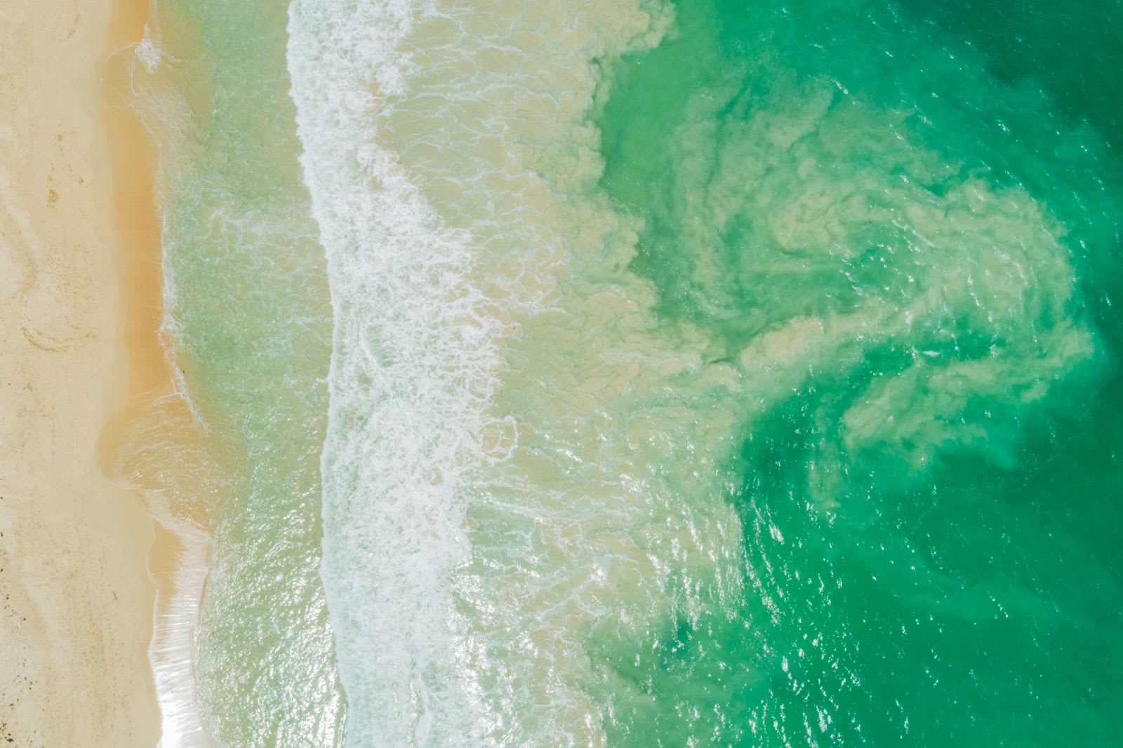 Coastal Living Awaits - 103 North Street, Swanbourne