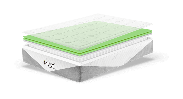 MLILY USA – Global Partner of Manchester United