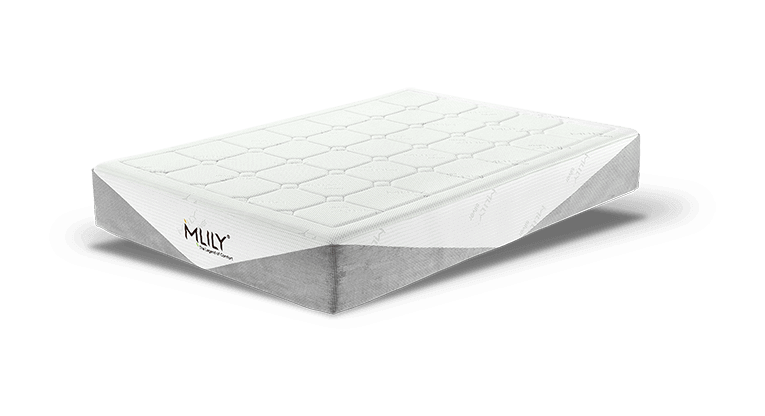 MLILY USA – Global Partner of Manchester United