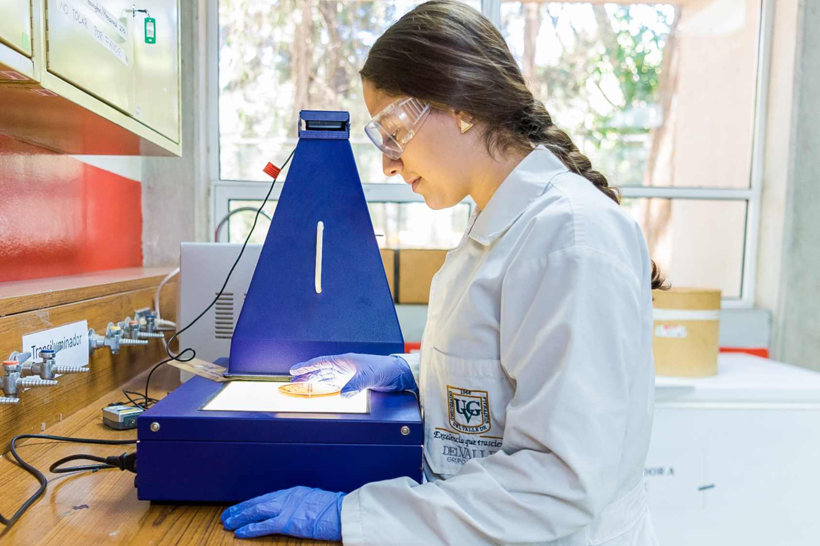 Actividades prácticas para el aprendizaje de ciencias en educación remota