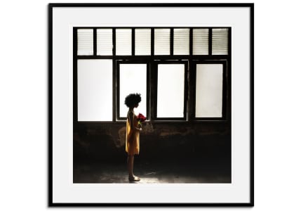 Shop Photography Quirky