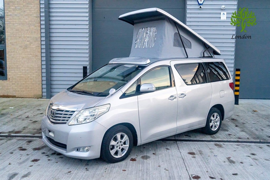 2009 Toyota Alphard Silver