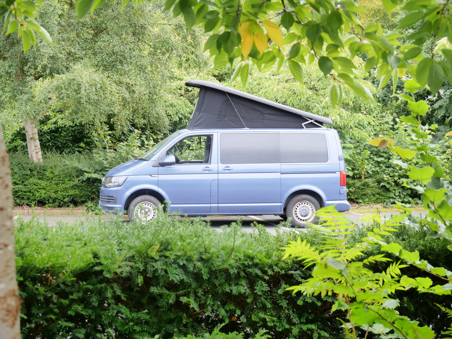 New Stock Arrival - Vw T6 In Stunning Rare Blue
