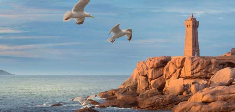 Wat te doen tijdens een vakantie aan de Noordoost-Franse kust