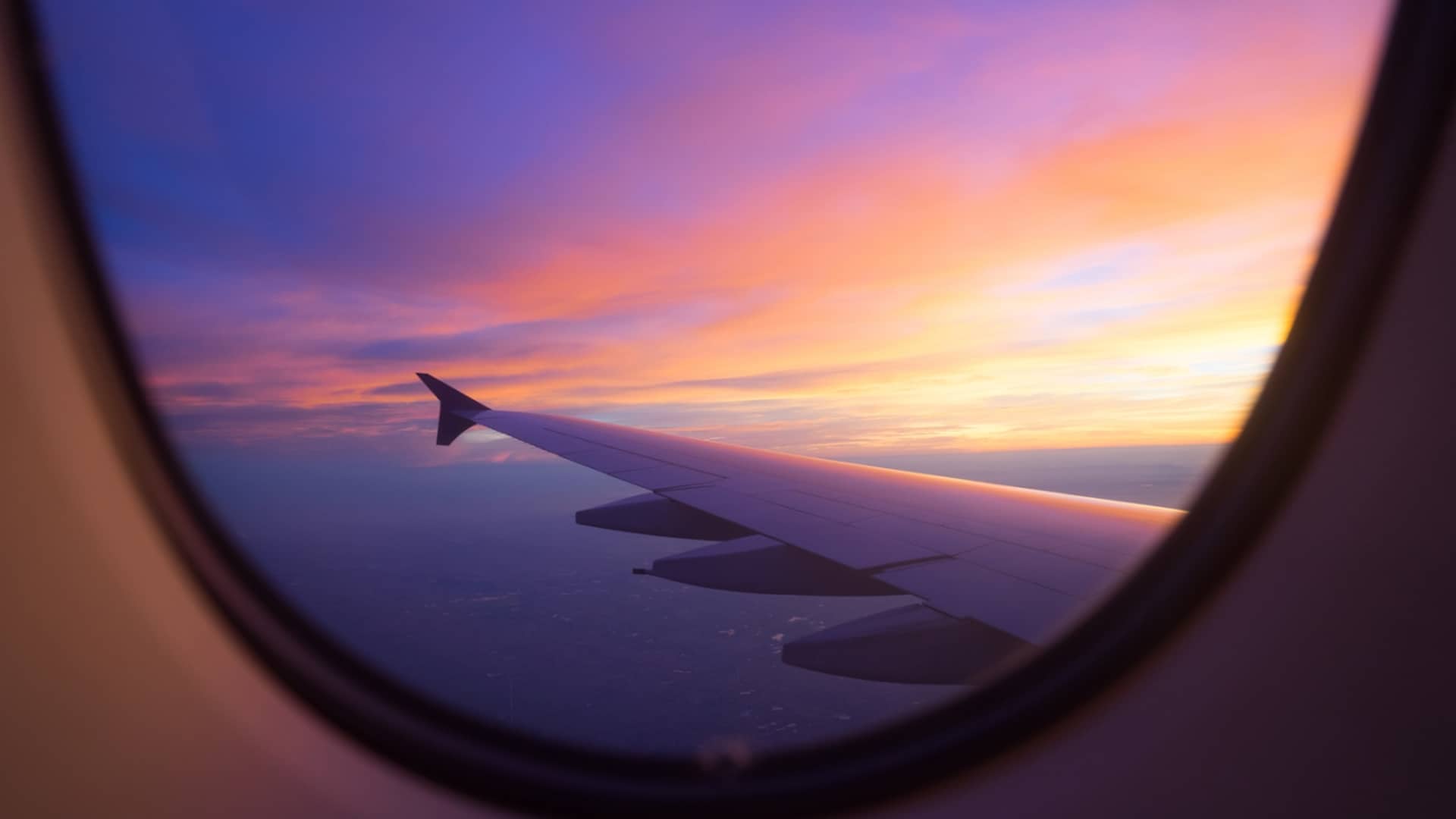 Live Flight Tracker - Monitor Airline Flight Status in Real Time - sa.wego.com