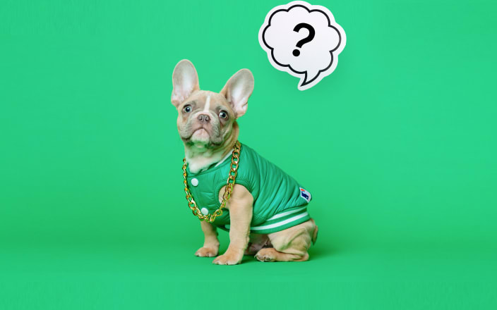 Guess Who Games | Confetti 🎉