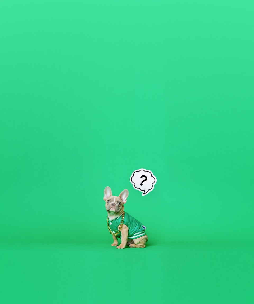 Online Guess Who | Virtual Game for Team Building | Confetti 🎉