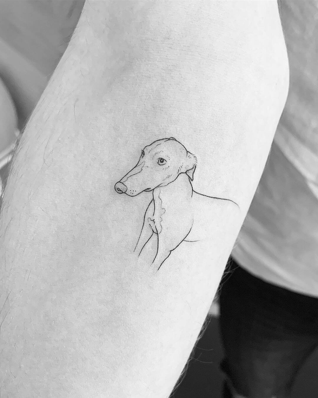 Greyhound tattoos | tattoos by category