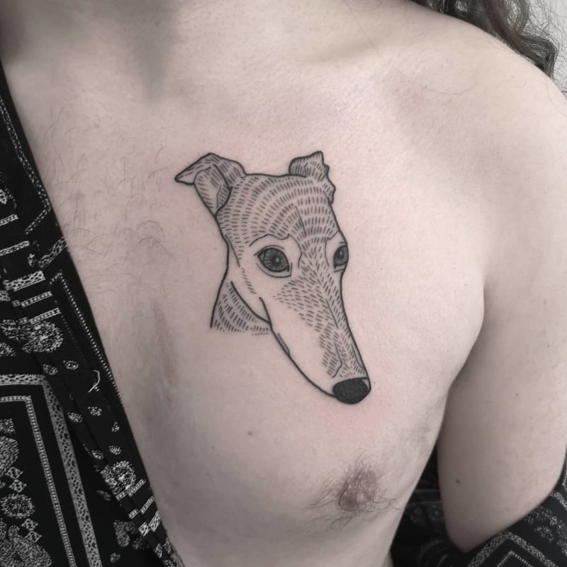 Greyhound tattoos | tattoos by category