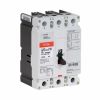 EATON FD3100 C Series Type FD Molded Case Circuit Breaker, 600 V AC/250 ...