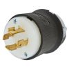 Hubbell Wiring Device-Kellems Twist-Lock Insulgrip HBL2421 Grounding ...