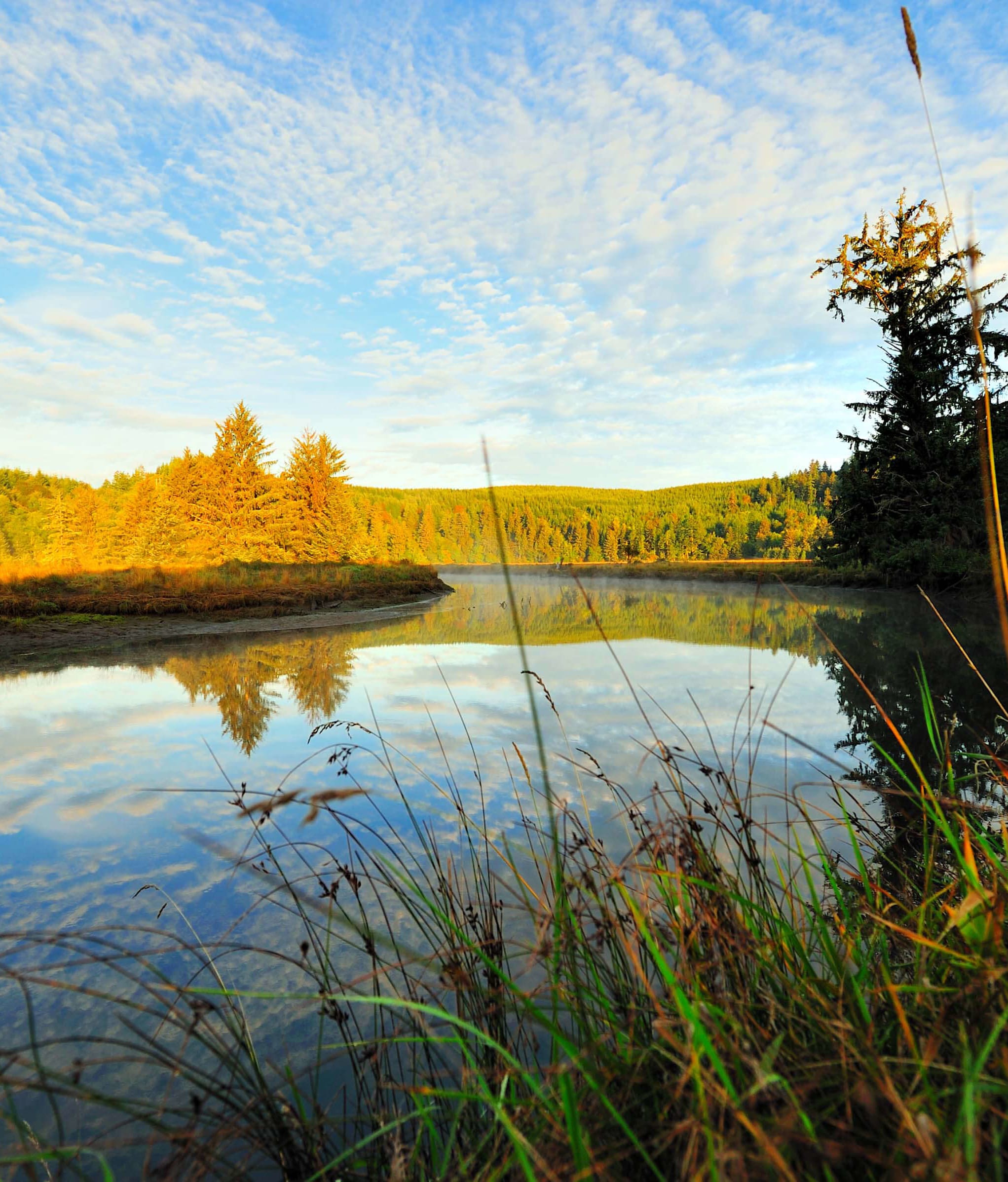 Drift Creek - Western Rivers Conservancy