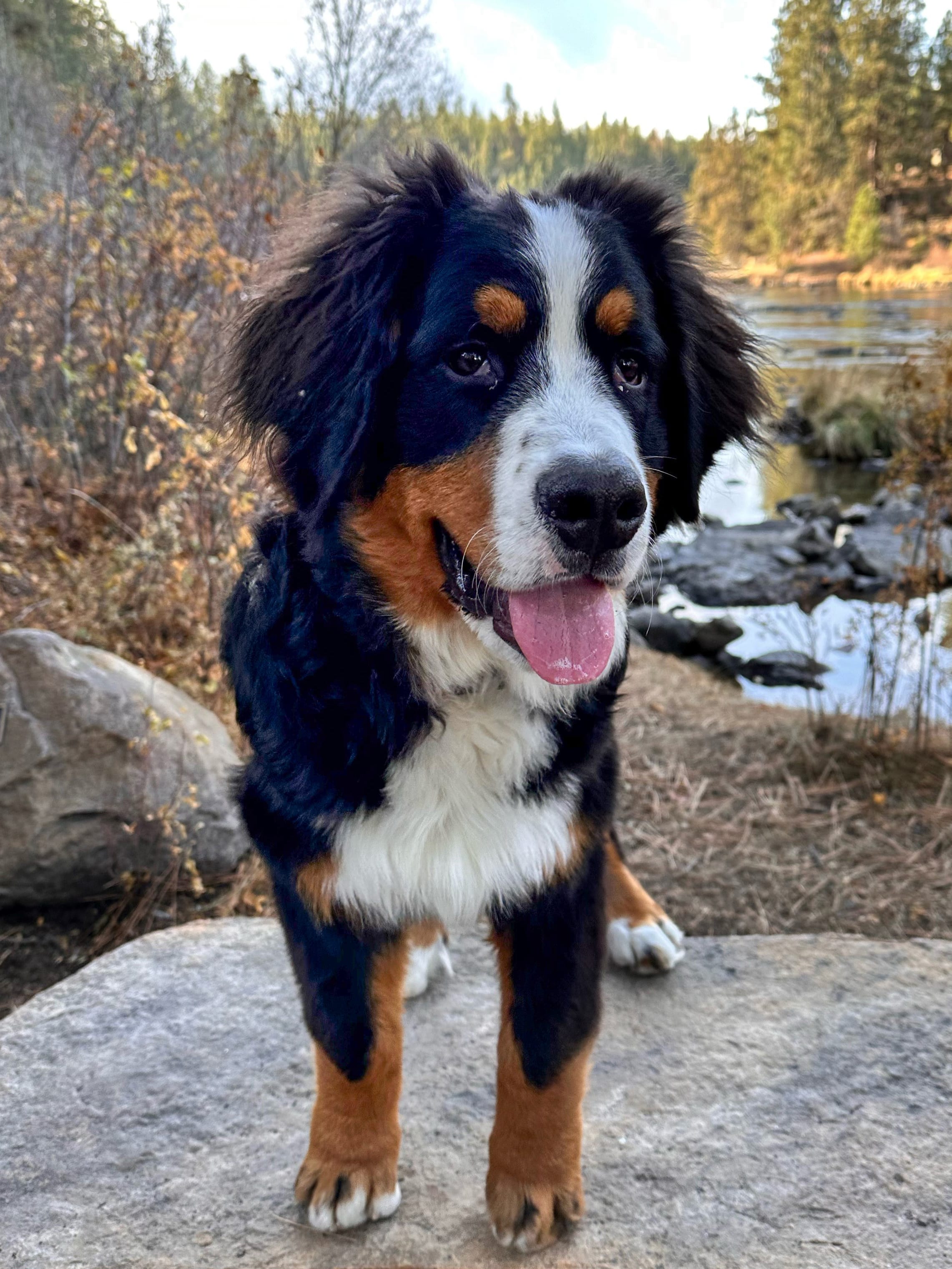 Staff - Western Rivers Conservancy